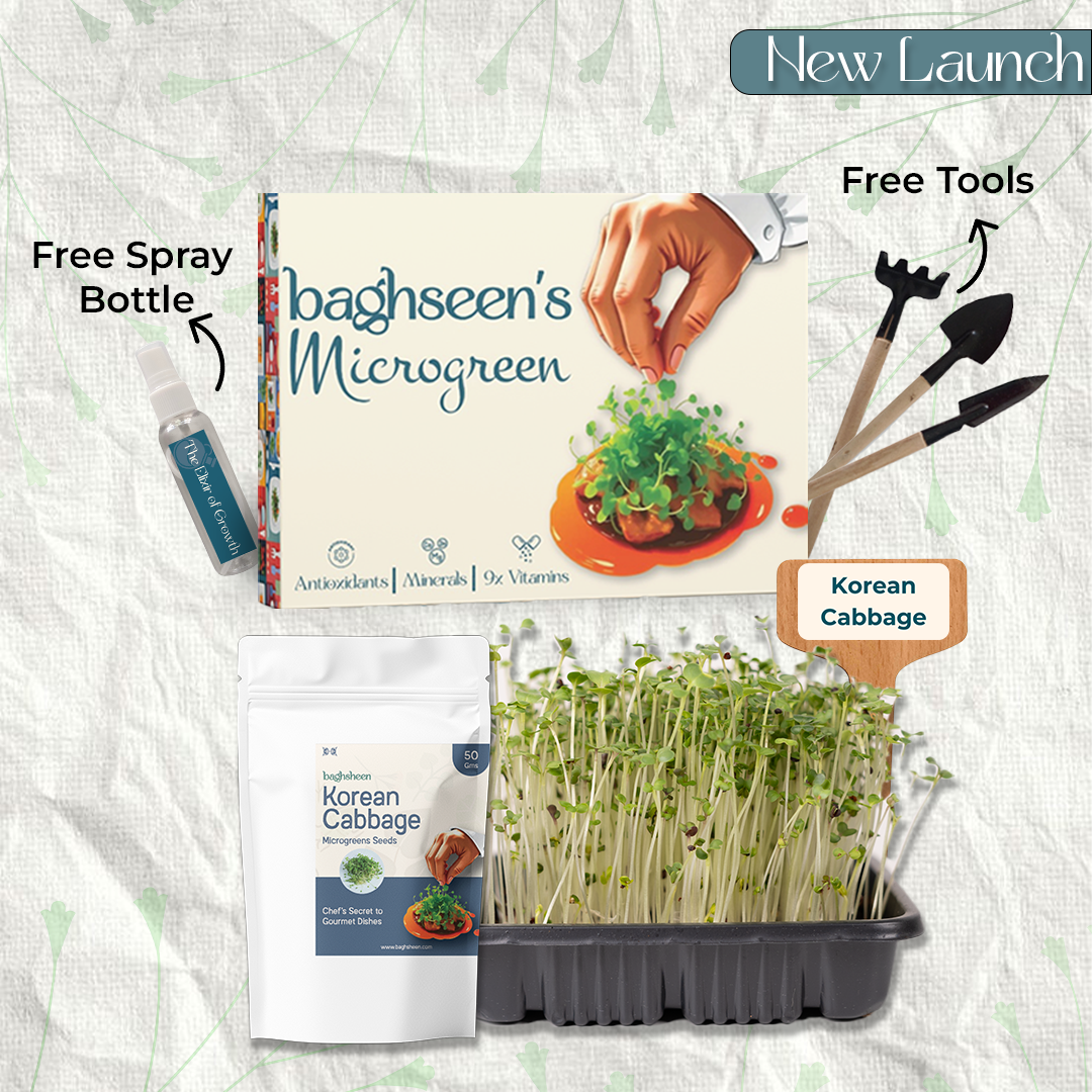 Buy Now Microgreens Grow Kit | 30% OFF Sitewide – Bagh Sheen