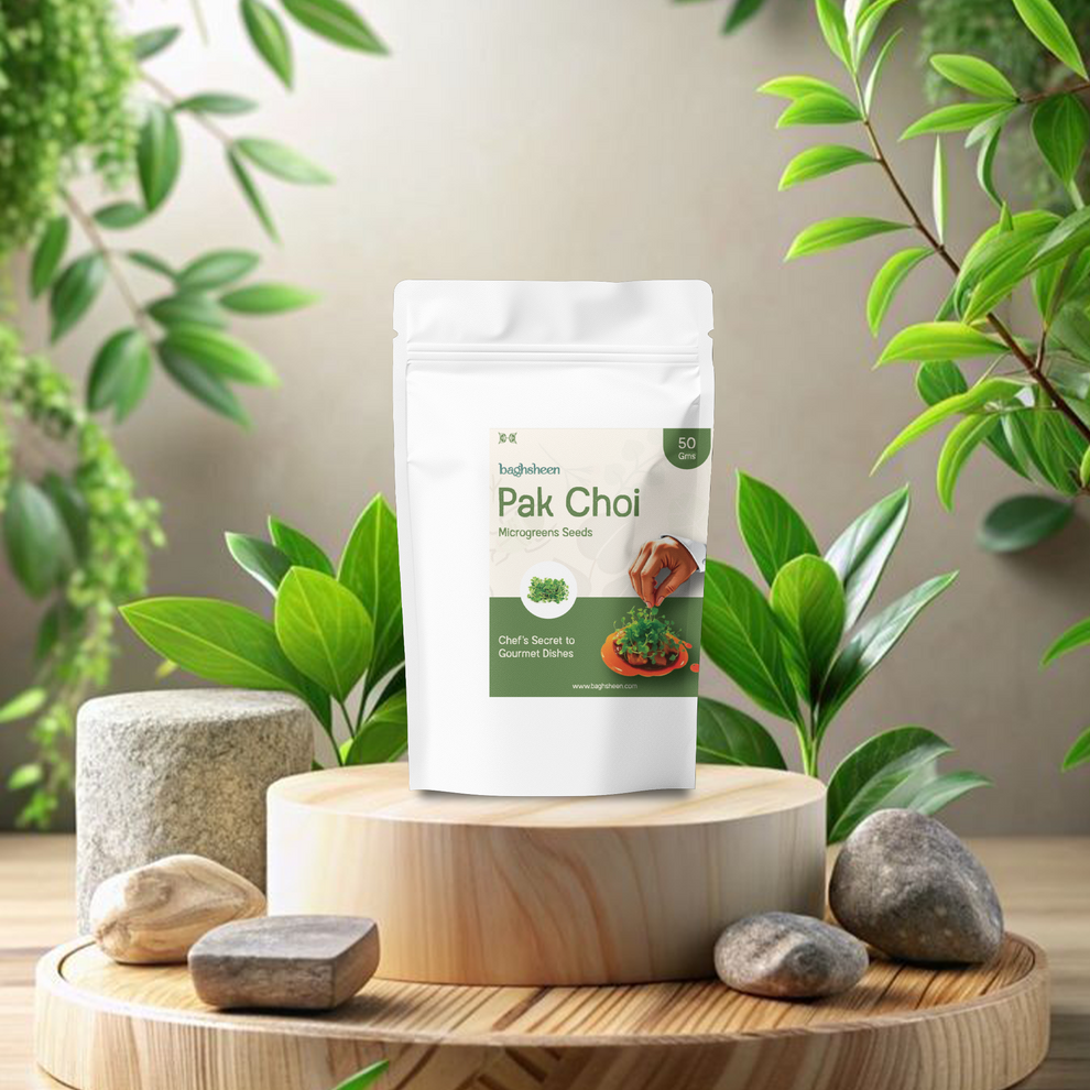 Pak Choi - Microgreen Seeds Refills (To Regrow) 5 Harvest – Bagh Sheen
